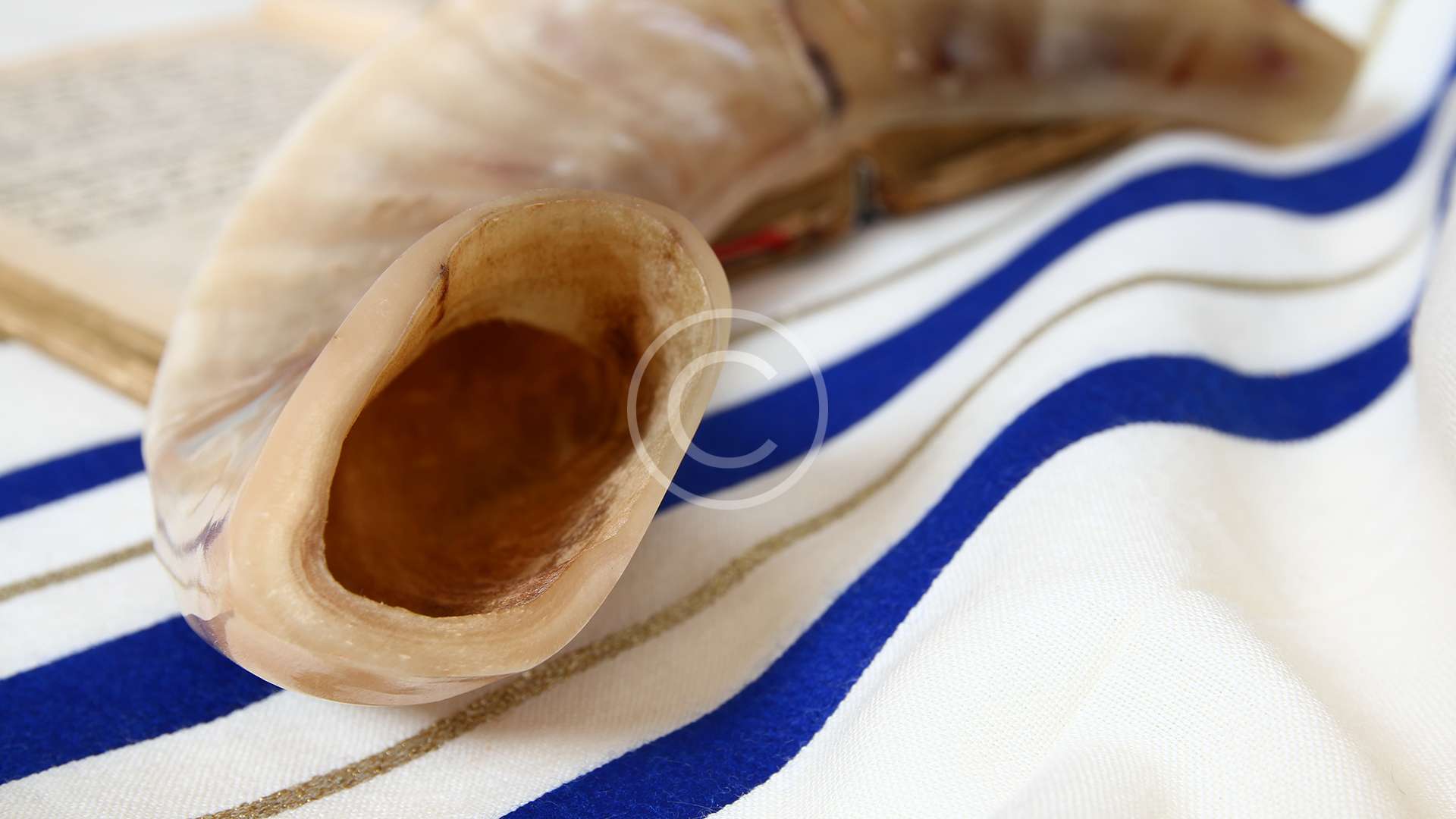 Brief History of Israel and the Jewish People - BetOrim Haverim Camp